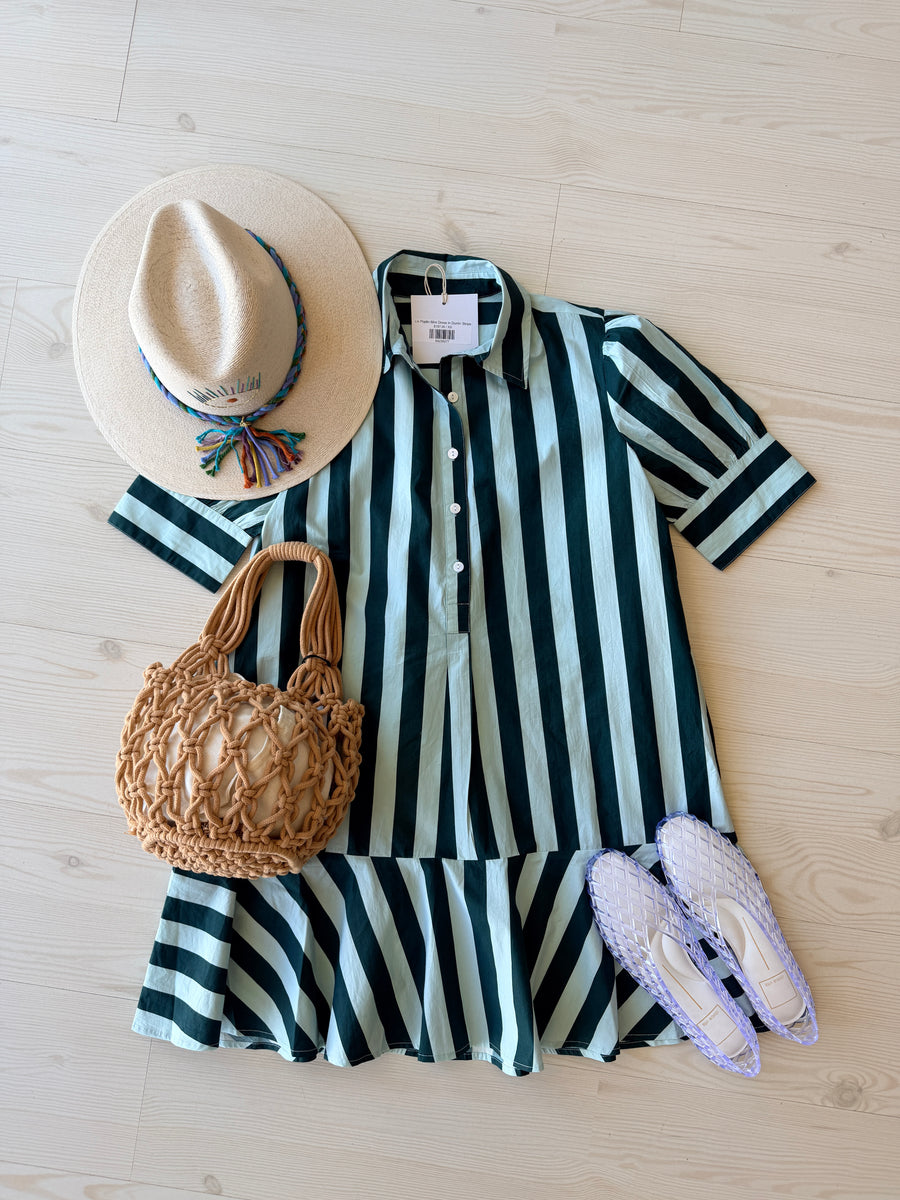 Liv Poplin Mini Dress in Dunlin Stripe – Mine. a boutique